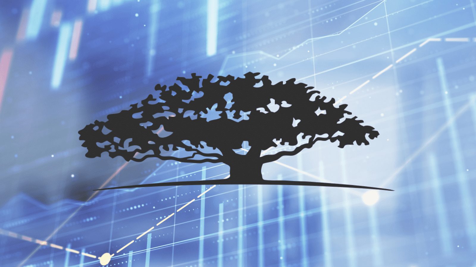 WisdomTree CEO: We Will Be First to Bring Passive Investing to the ...