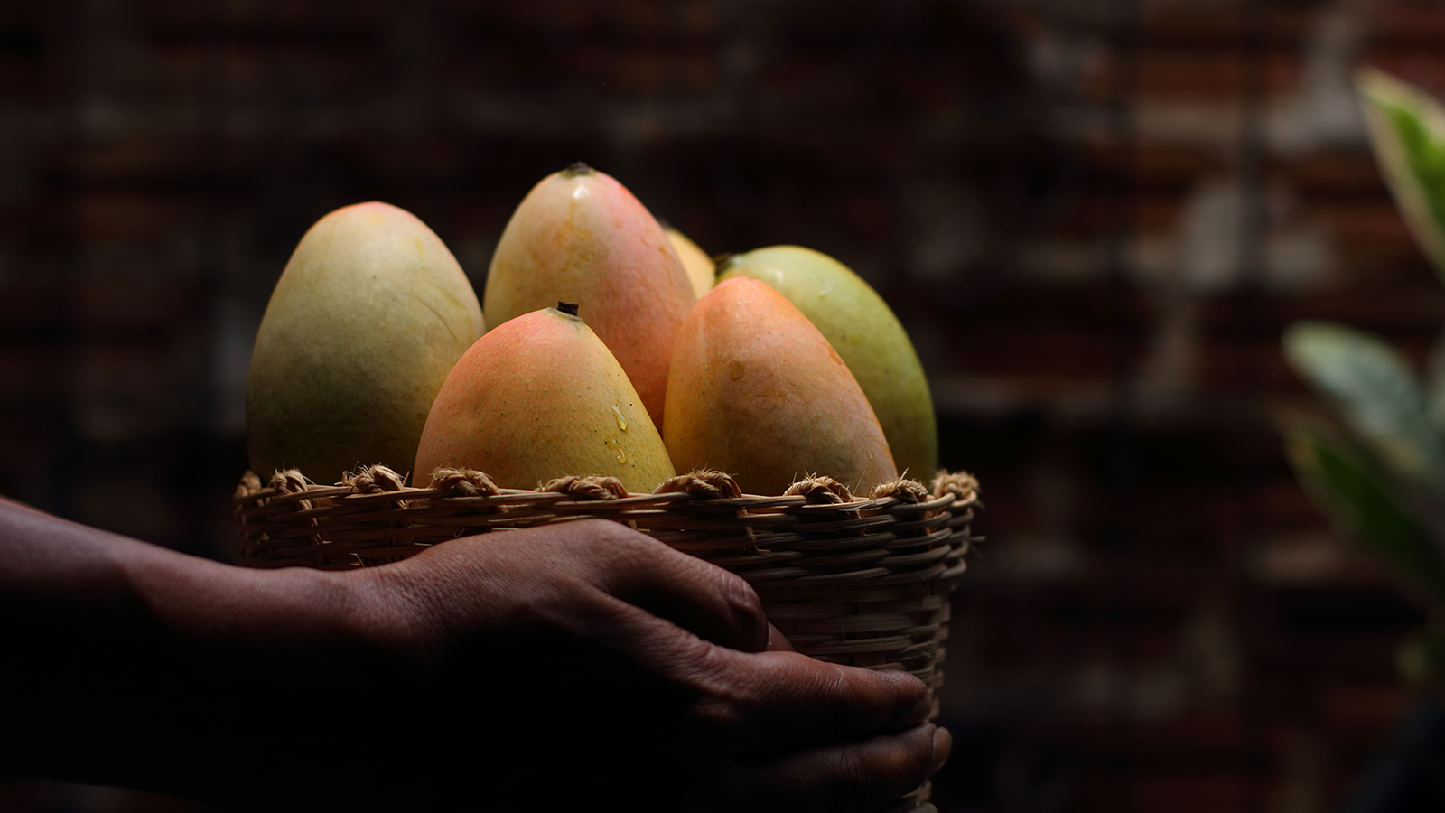 Mango Markets Mangled by Oracle Manipulation for $112M - Blockworks